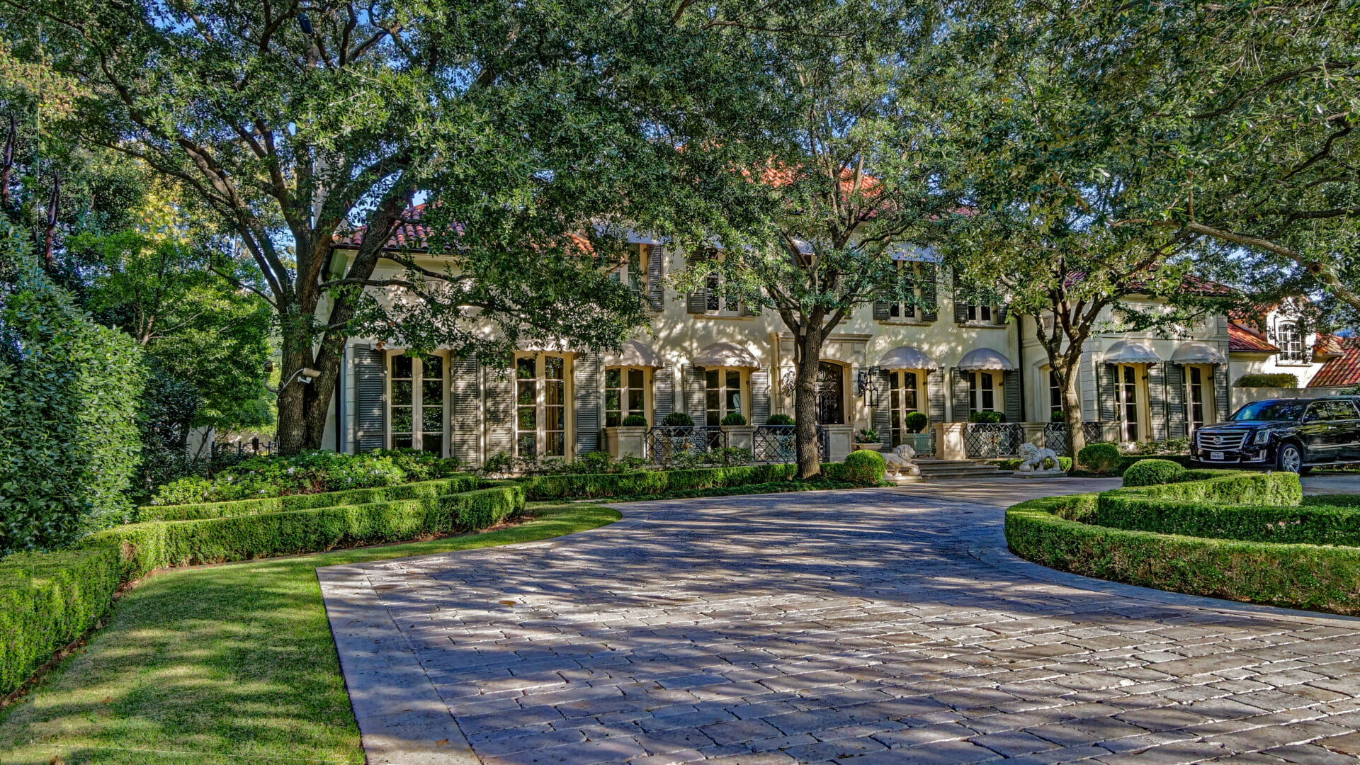 Services - Tree Care - Hurley Lawns